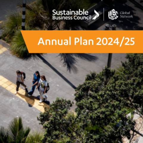 SBC Annual Plan 2024-2025 | SBC