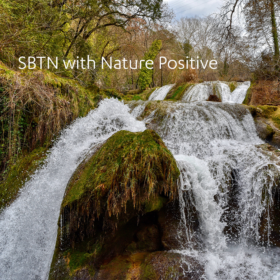 SBTN with Nature Positive | SBC